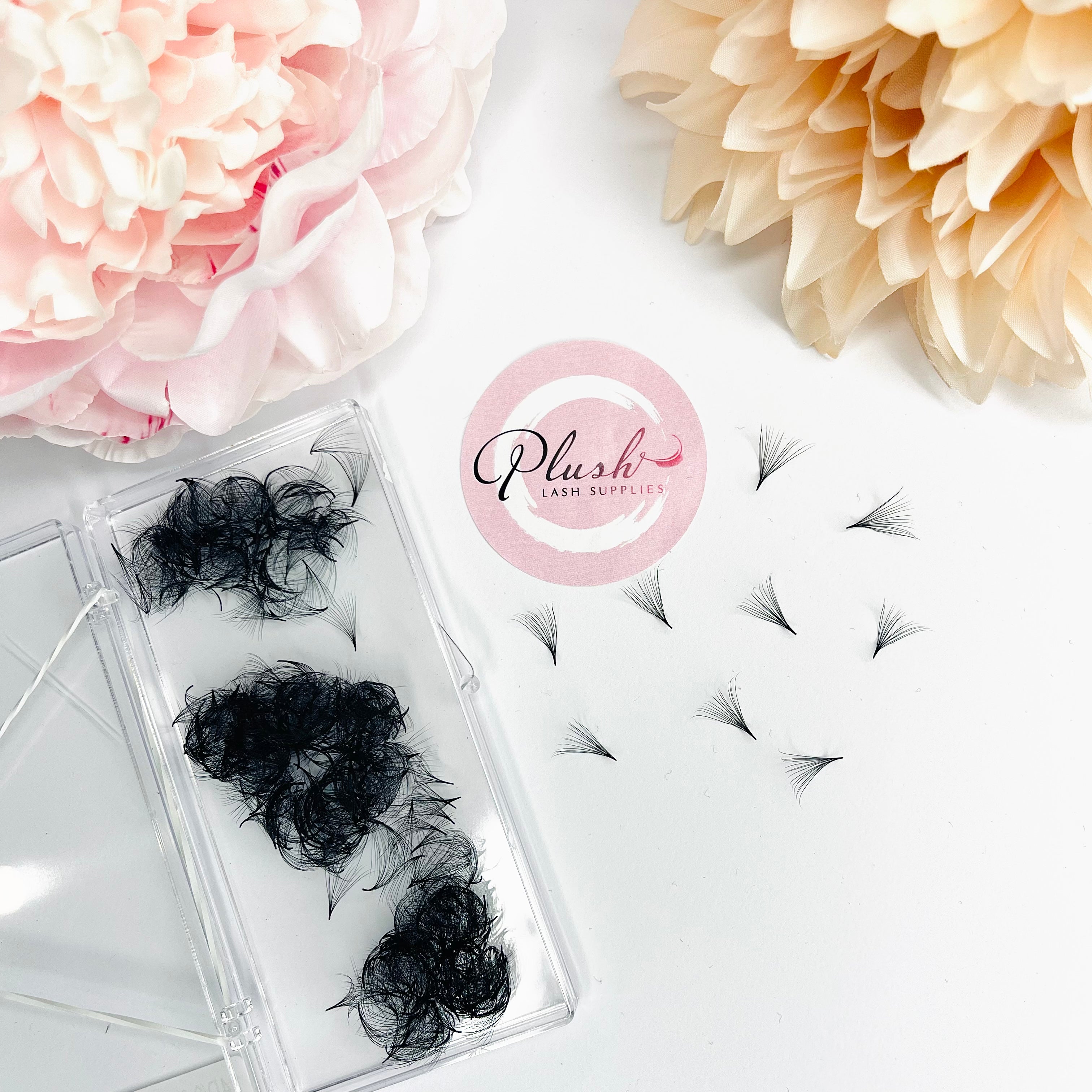14D 0.05| Pro-Made Loose Fans 500Fans/Tray – Plush Lash Supplies