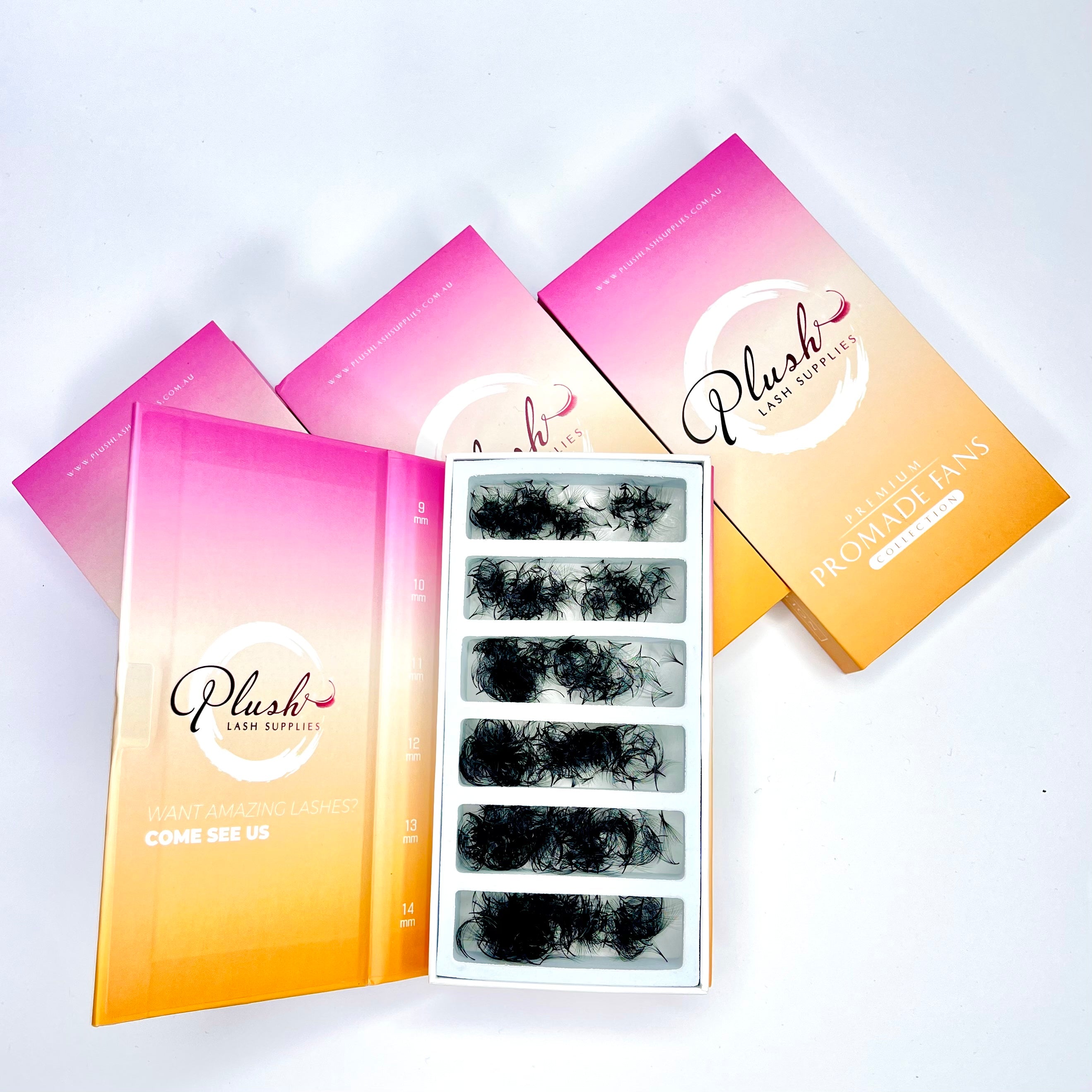 Mix 6in1 | Pro-Made Fans 4D | 1500 Fans – Plush Lash Supplies